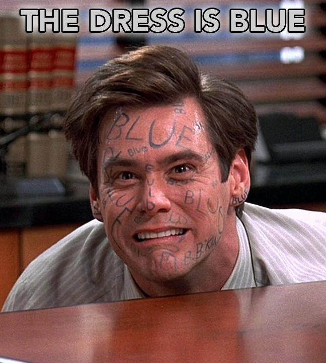 Fletcher Reede can settle this argument | The Dress / What Color Is ...