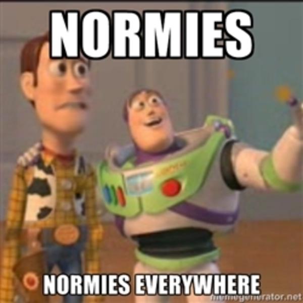 normies everywhere | Normie | Know Your Meme