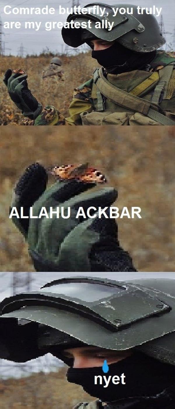 Comrade Butterfly | Allahu Akbar | Know Your Meme