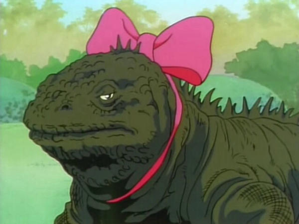 Pretty Iguana | Know Your Meme