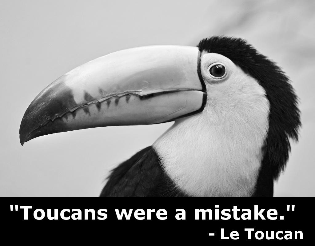 Toucan Mistake | "Anime Was a Mistake" | Know Your Meme