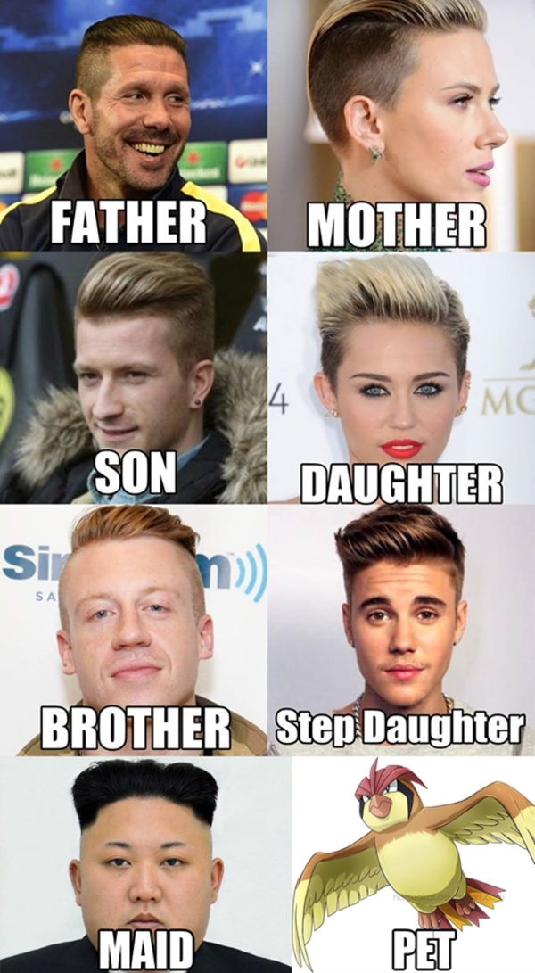 the family | Totally Looks Like / Separated At Birth | Know Your Meme