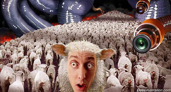 sheep people!!! | Sheeple | Know Your Meme