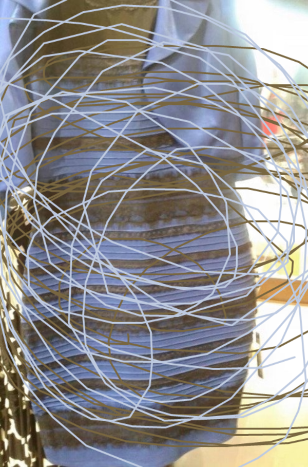 Black and Blue (totally) | The Dress / What Color Is This Dress? | Know ...