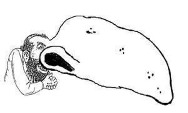 nose | Happy Merchant | Know Your Meme