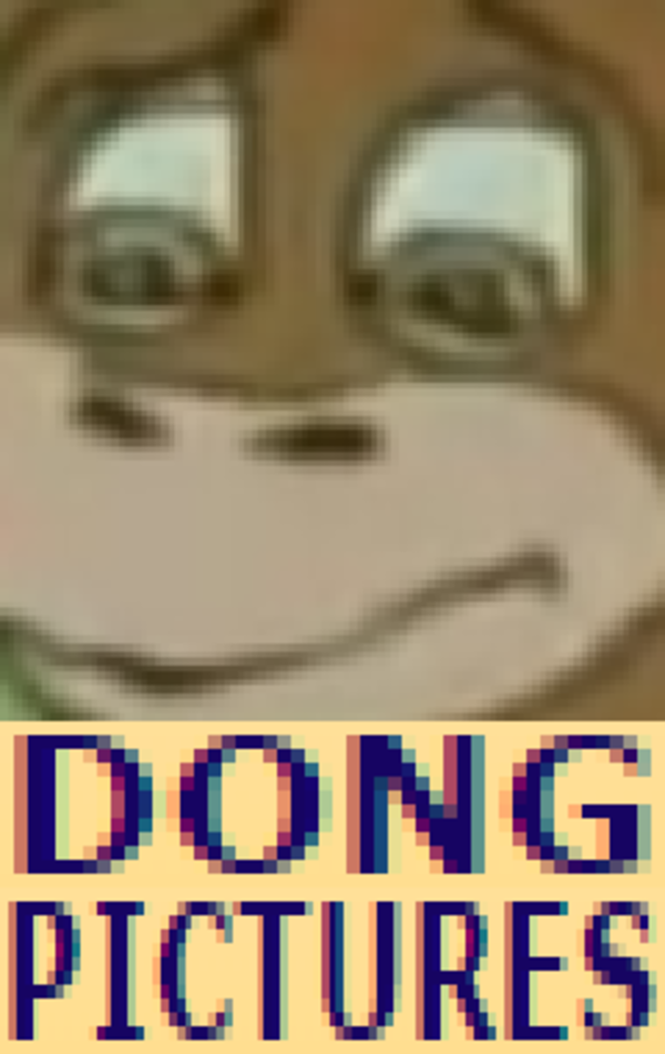 Dingo Pictures | Tony Kornheiser's "Why" | Know Your Meme