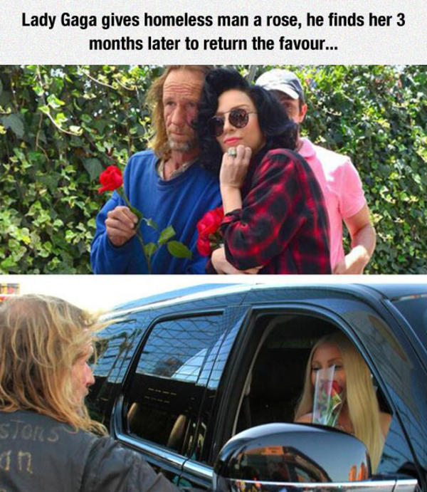 Lady Gaga’s True Fan | Lady Gaga | Know Your Meme