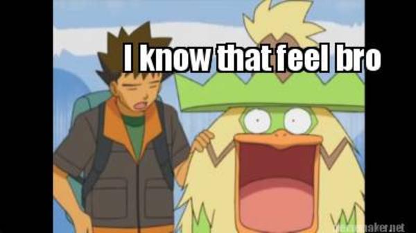 Brock know's that feel | I Know That Feel Bro | Know Your Meme