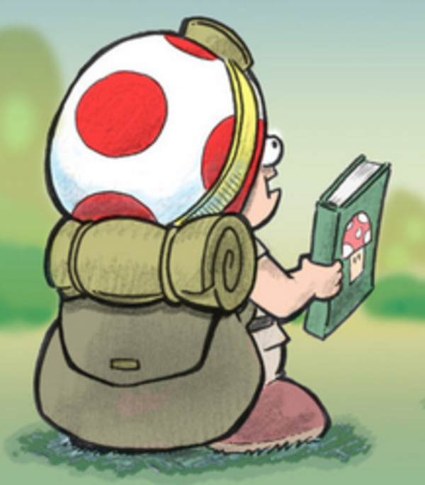 Captain Toad Reaction | Reaction Images | Know Your Meme