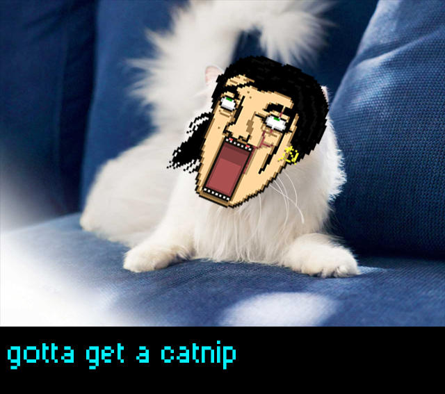 catnip | Gotta Get A Grip | Know Your Meme