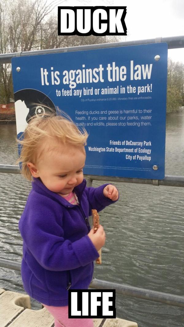 Duck Life | Know Your Meme