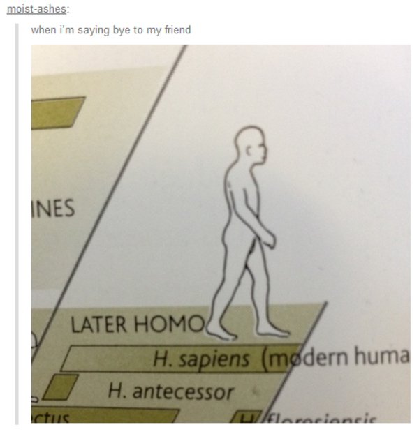 later homo | Later Homo | Know Your Meme