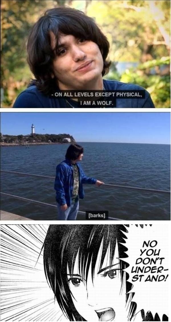 You are wrong | On All Levels Except Physical, I am a Wolf | Know Your Meme
