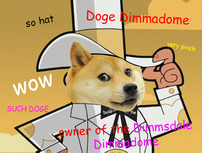 Doge Dimmadome Owner of the Dimmsdale Dimmadome | Dimma-Posting | Know ...