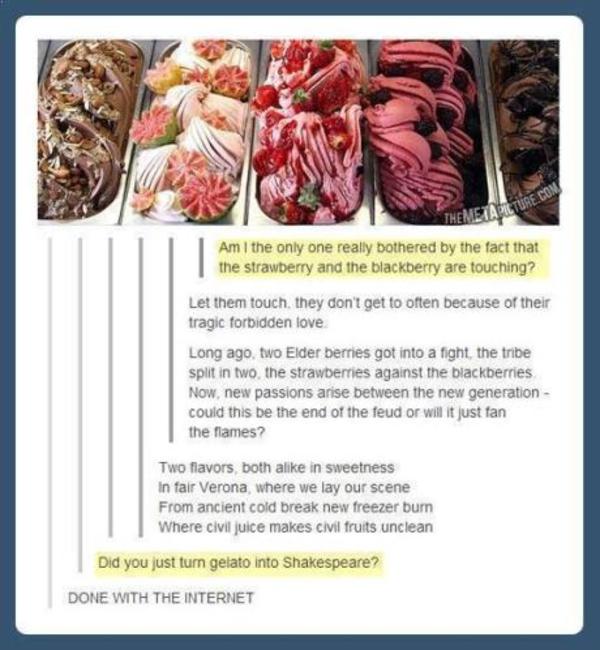 The Food Is Touching | Tumblr | Know Your Meme