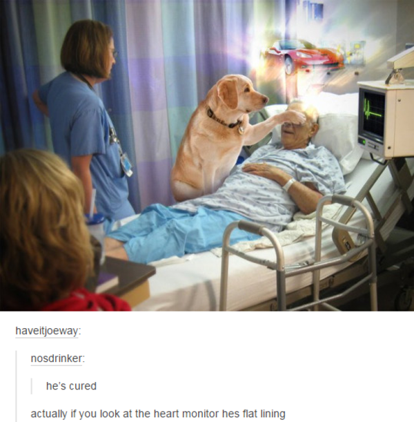 he’s cured | Tumblr | Know Your Meme