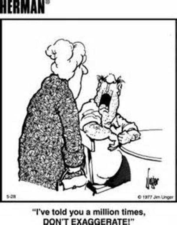 I've told you a million times, DON'T EXAGGERATE! | Reaction Images ...