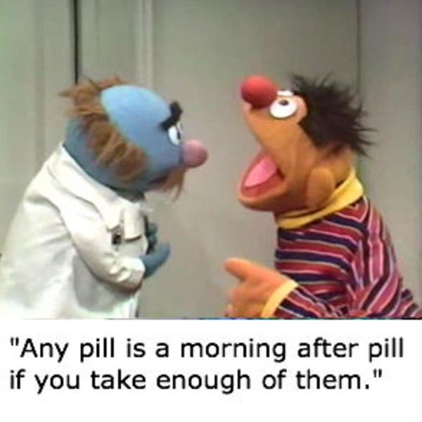 Ancient Muppet Proverb: | Bertstrips | Know Your Meme