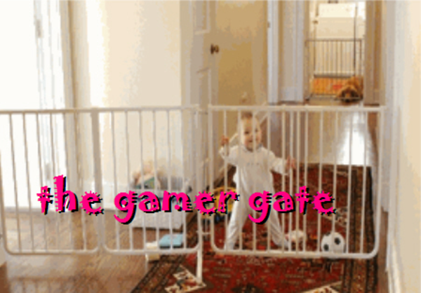 The Gamer-Gate | GamerGate | Know Your Meme