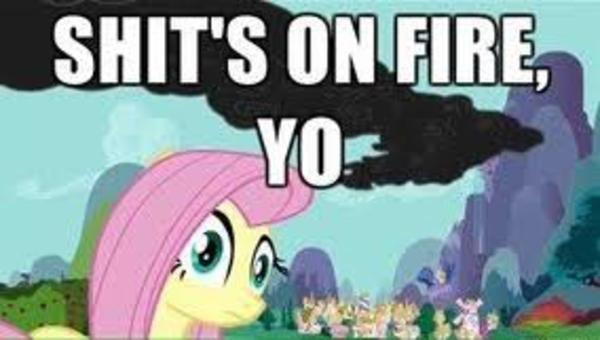 Fluttershit's on fire | Shit's On Fire, Yo | Know Your Meme