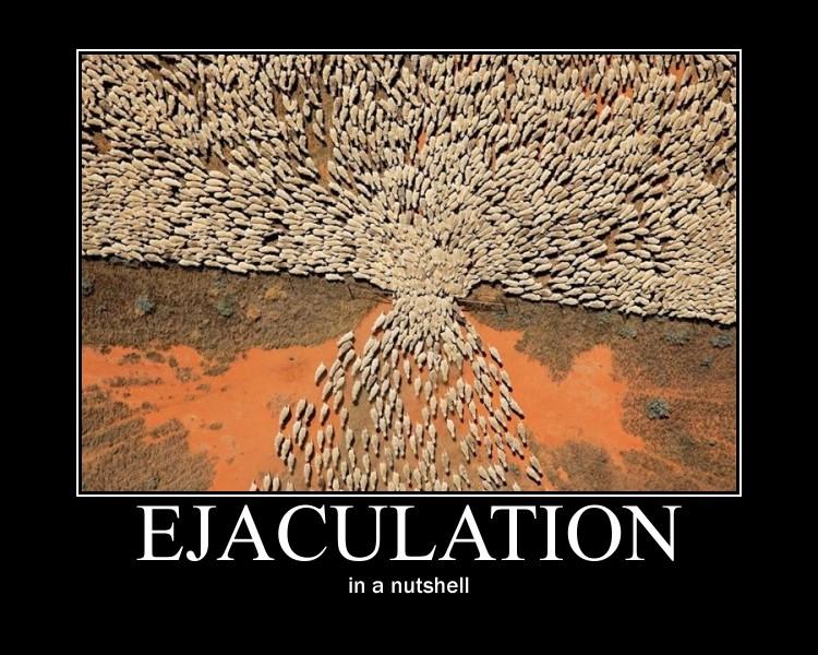 They are coming out! | In a Nutshell | Know Your Meme