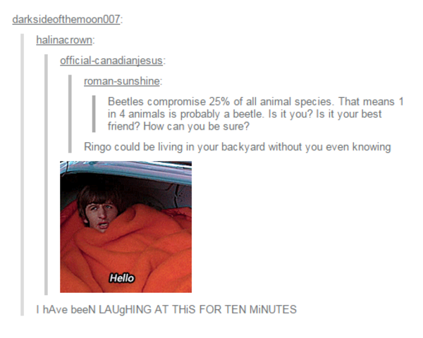 Beetles. | The Beatles | Know Your Meme