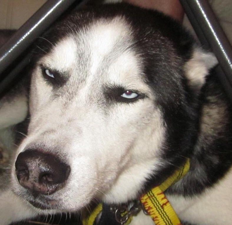 Are you serious? | Reaction Images | Know Your Meme