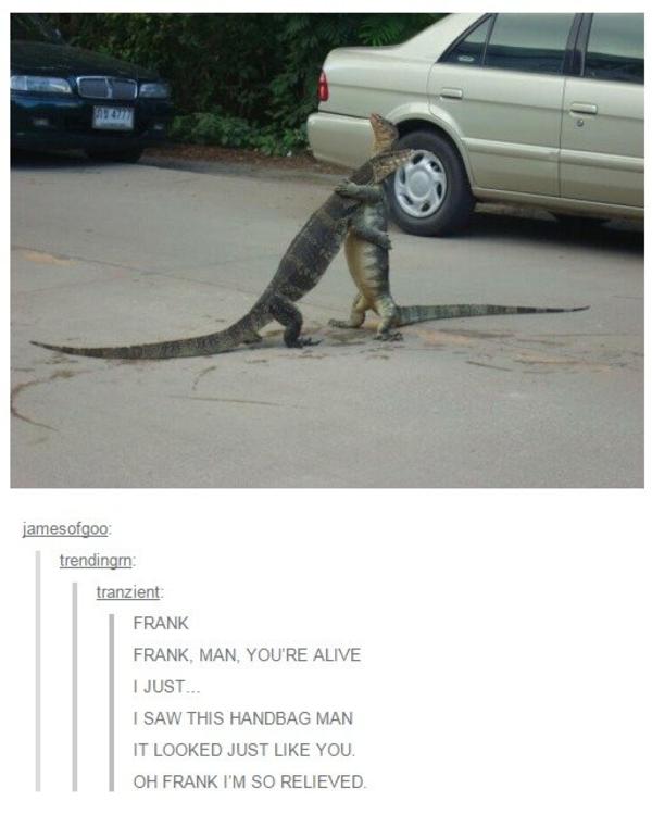 Frank is back! | Animals | Know Your Meme