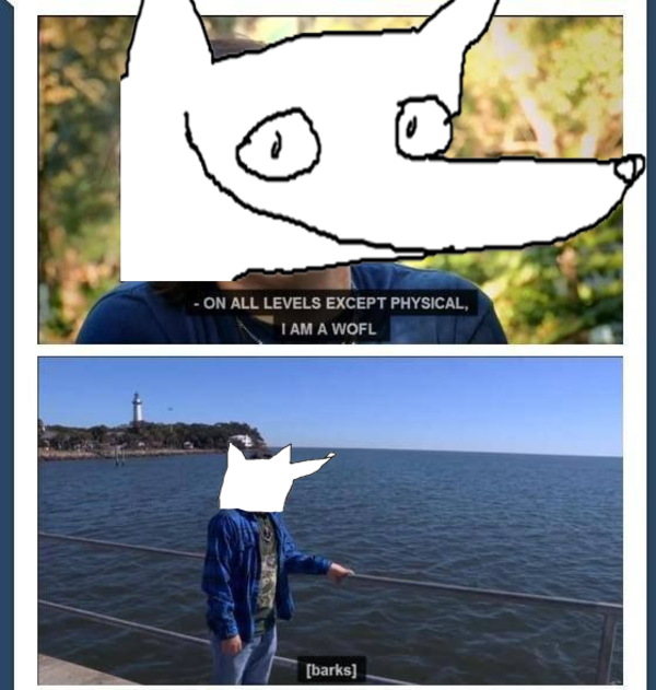 wofl | WOFL | Know Your Meme