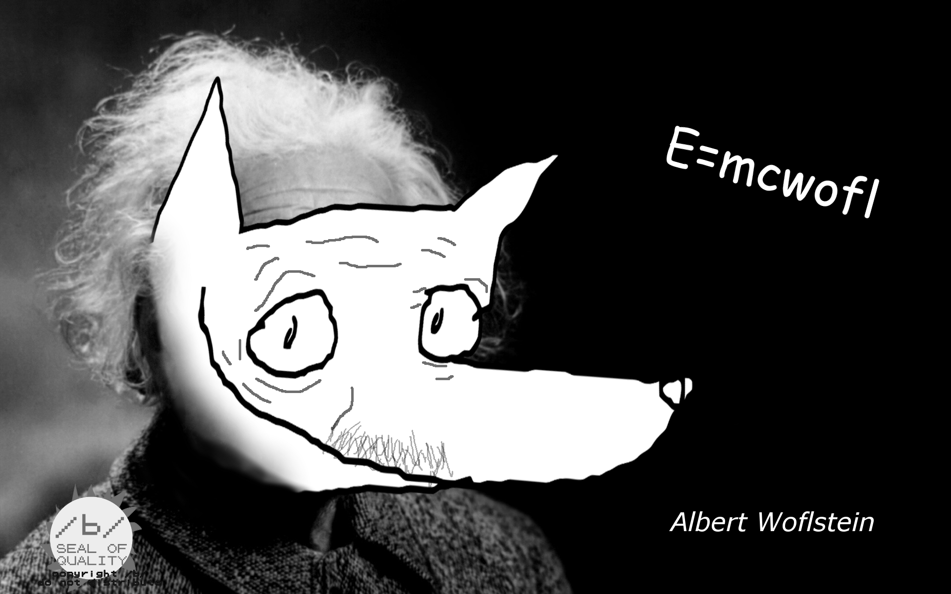 wofl | WOFL | Know Your Meme