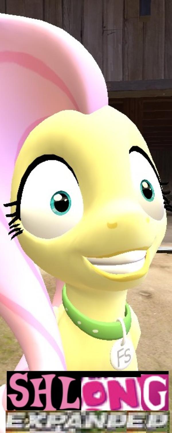 Schlong Expanded | Expand Dong | Know Your Meme