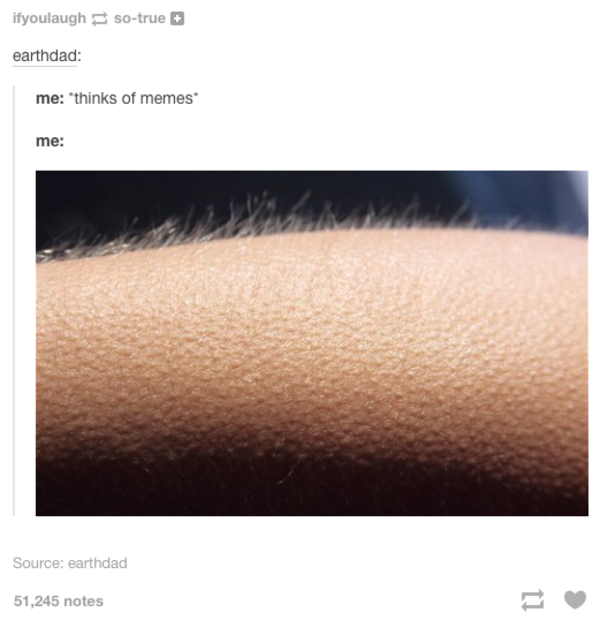 Are rare picture of Don's arm | Memes | Know Your Meme