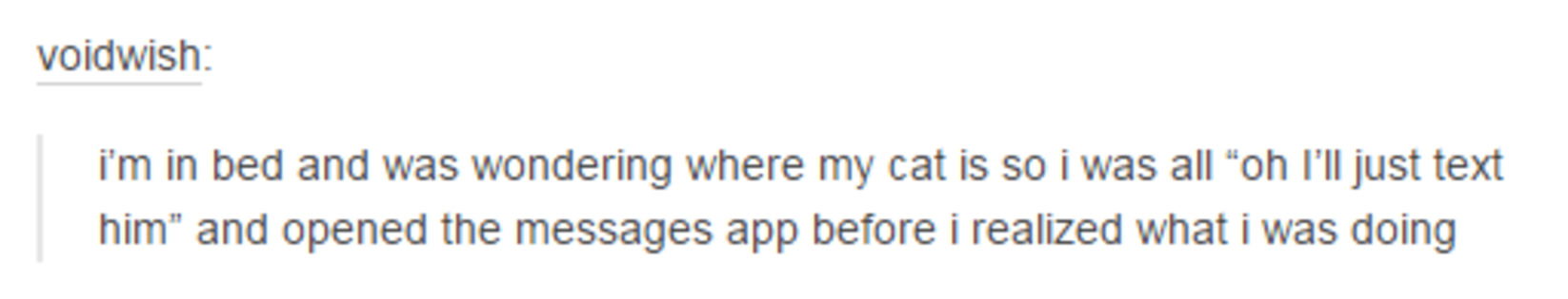 What? | Tumblr | Know Your Meme