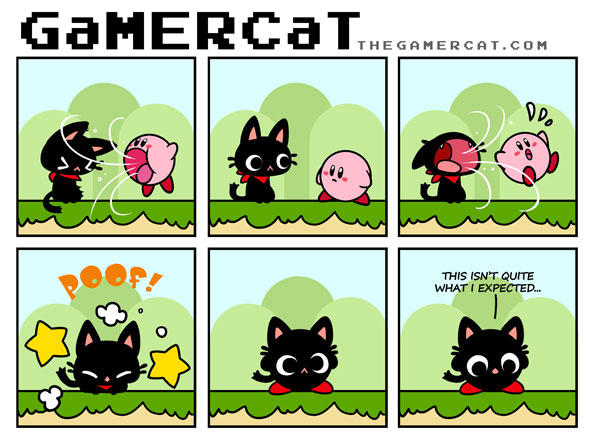 This... is not what I expected | The GaMERCaT | Know Your Meme
