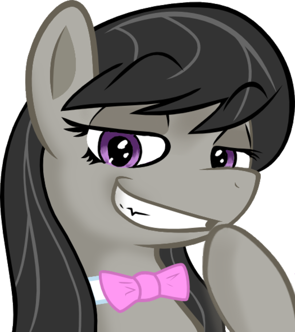 Smug Donkey | Pony Reactions | Know Your Meme