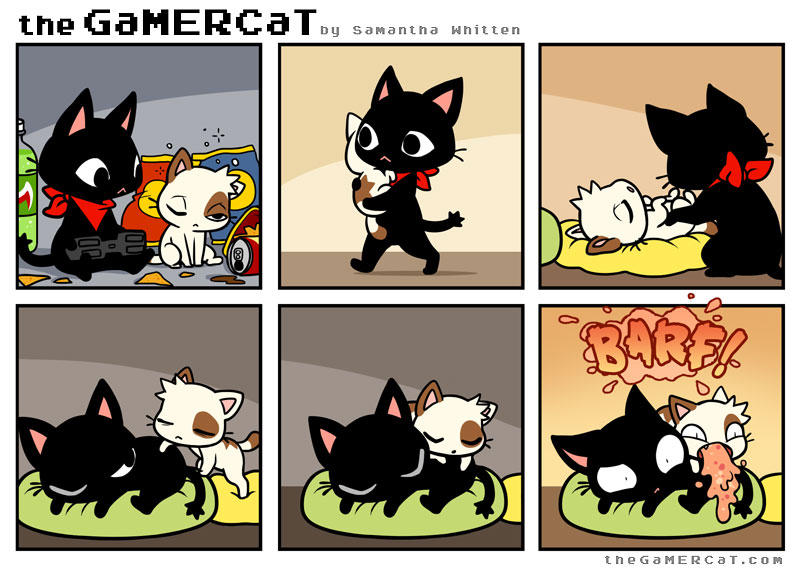 Aww.... | The GaMERCaT | Know Your Meme