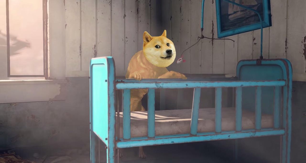 Wow | Fallout | Know Your Meme