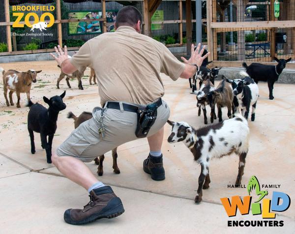 Goat Zookeeper | Prattkeeping | Know Your Meme