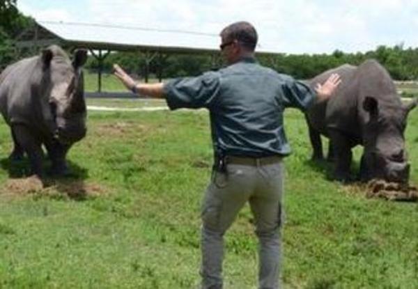 Rhino Zookeeper | Prattkeeping | Know Your Meme
