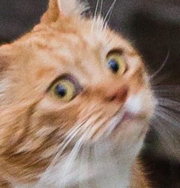 o_o | Reaction Images | Know Your Meme