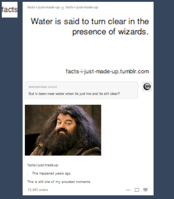 Wizards | Harry Potter | Know Your Meme