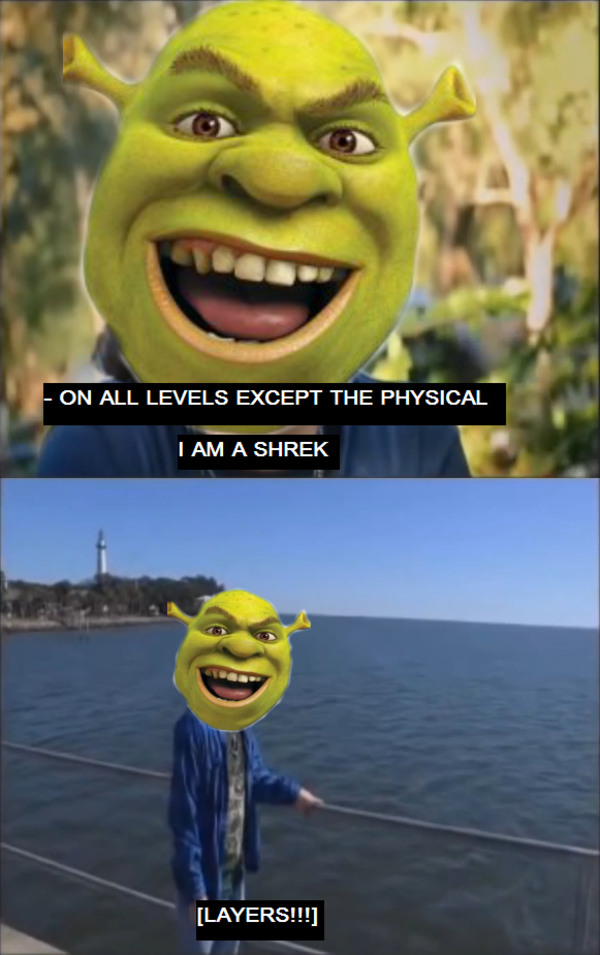 On All Levels Except Physical, I am a Shrek | On All Levels Except ...