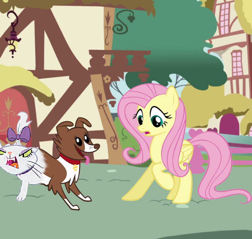 Catdog | My Little Pony: Friendship is Magic | Know Your Meme
