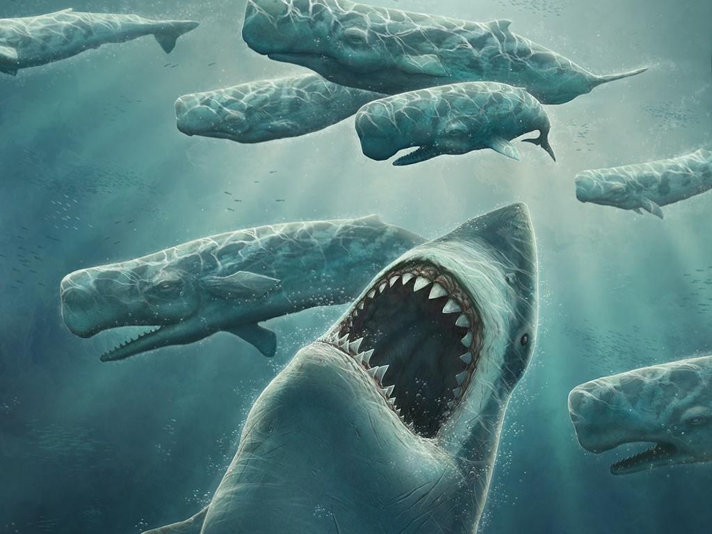 The Megalodon Rises | Sharks | Know Your Meme