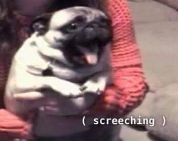 SHIIIIIIT | Reaction Images | Know Your Meme