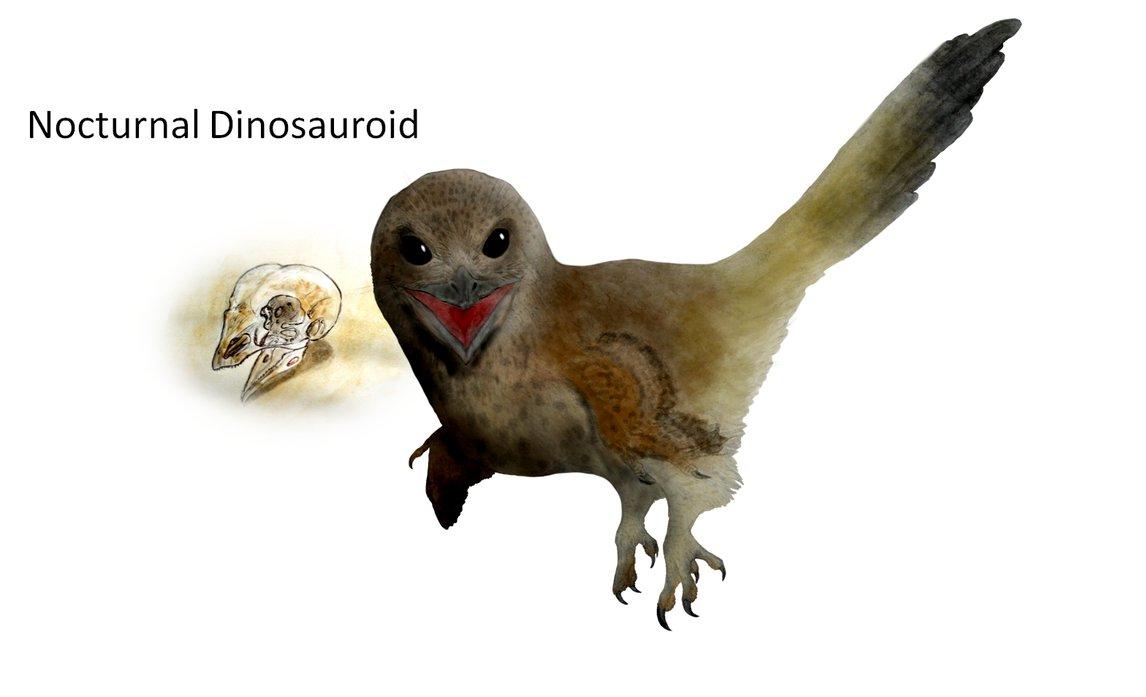 Nocturnal Dinosauroid by Traheripteryx | #BuildABetterFakeTheropod ...