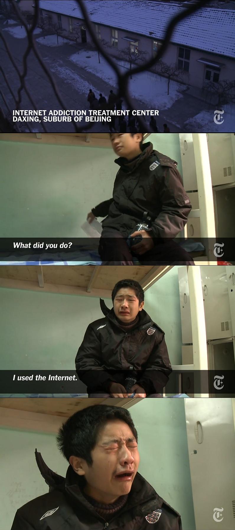 [insert pinus here] | Reaction Images | Know Your Meme