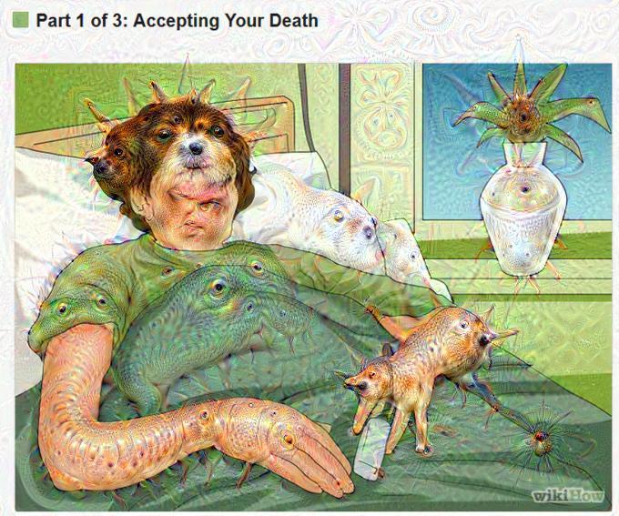 why | Google DeepDream | Know Your Meme