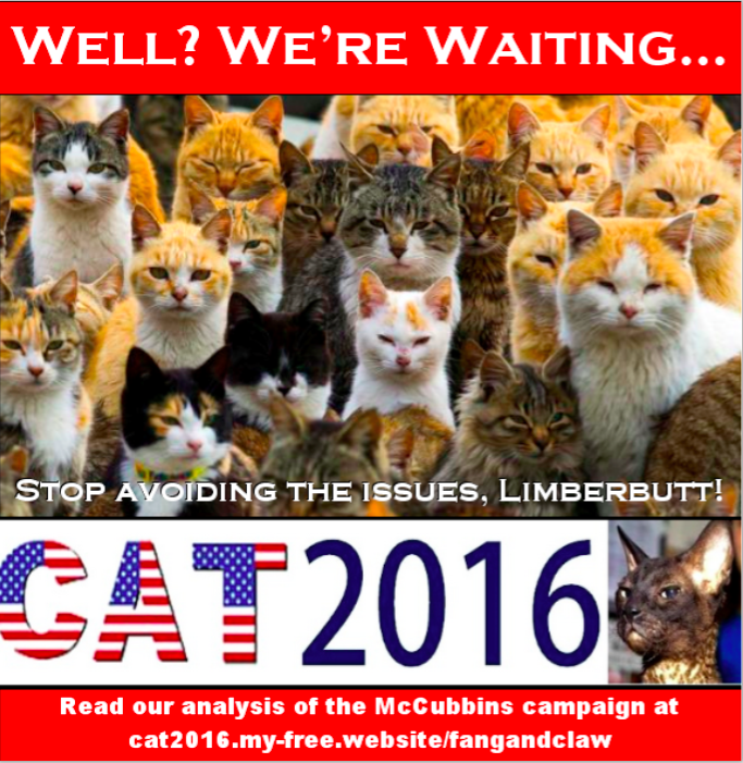 We're Waiting... | CAT 2016 | Know Your Meme