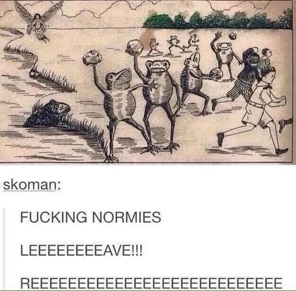 FUCKING NORMIES | Normie | Know Your Meme